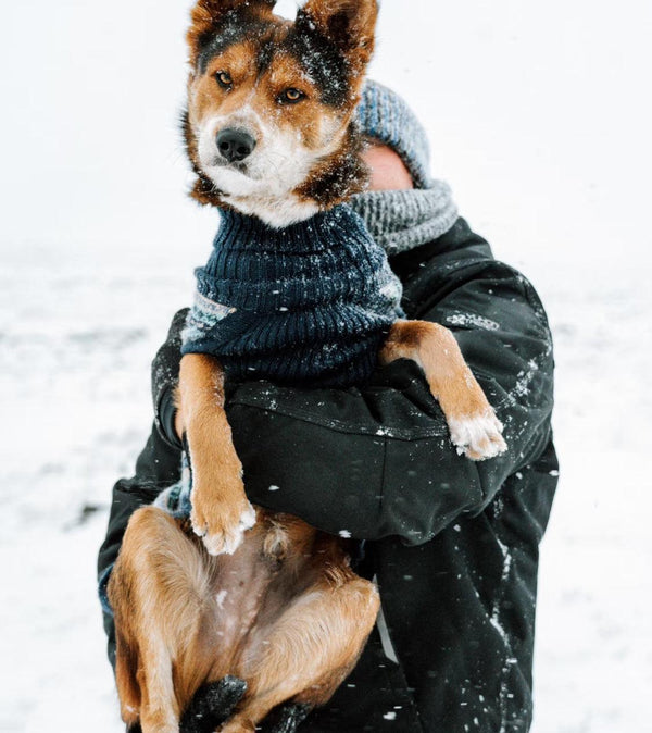 Designer Dog Supplies | Toys, Beds, Clothing, Leashes & Feeders – ri-son