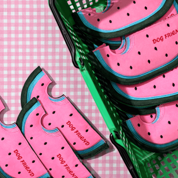 Watermelon Squeaky Frisbee for Dog – ri-son