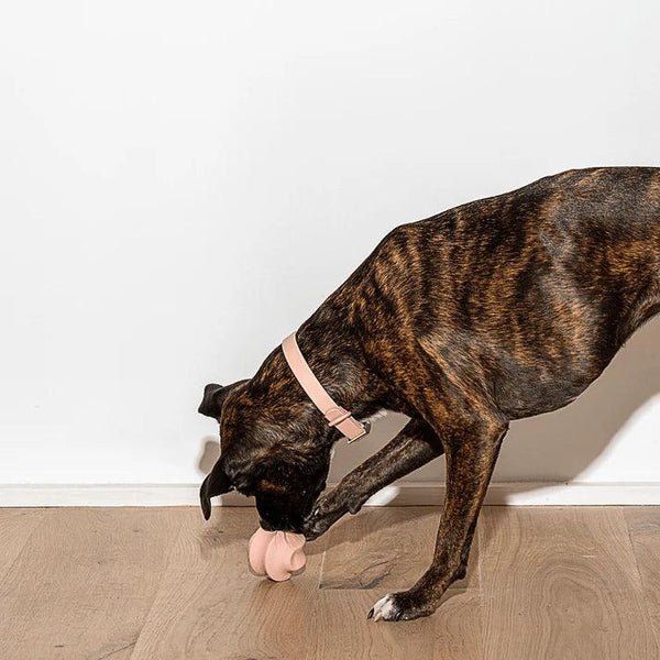 Twist Toss Dog Treat Toy|Fetch & Treat 2 in 1 – ri-son
